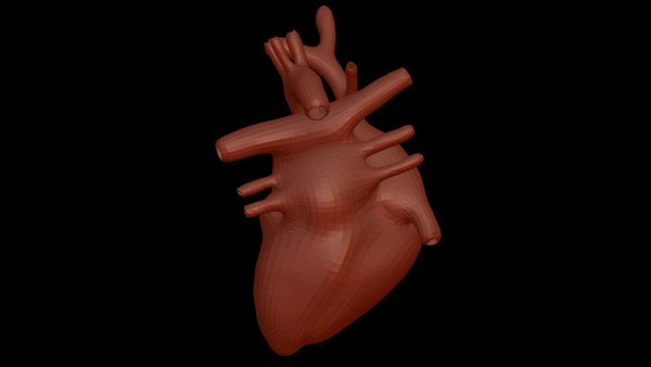 Human Heart Low Poly 3D 모델 - TurboSquid 2051383