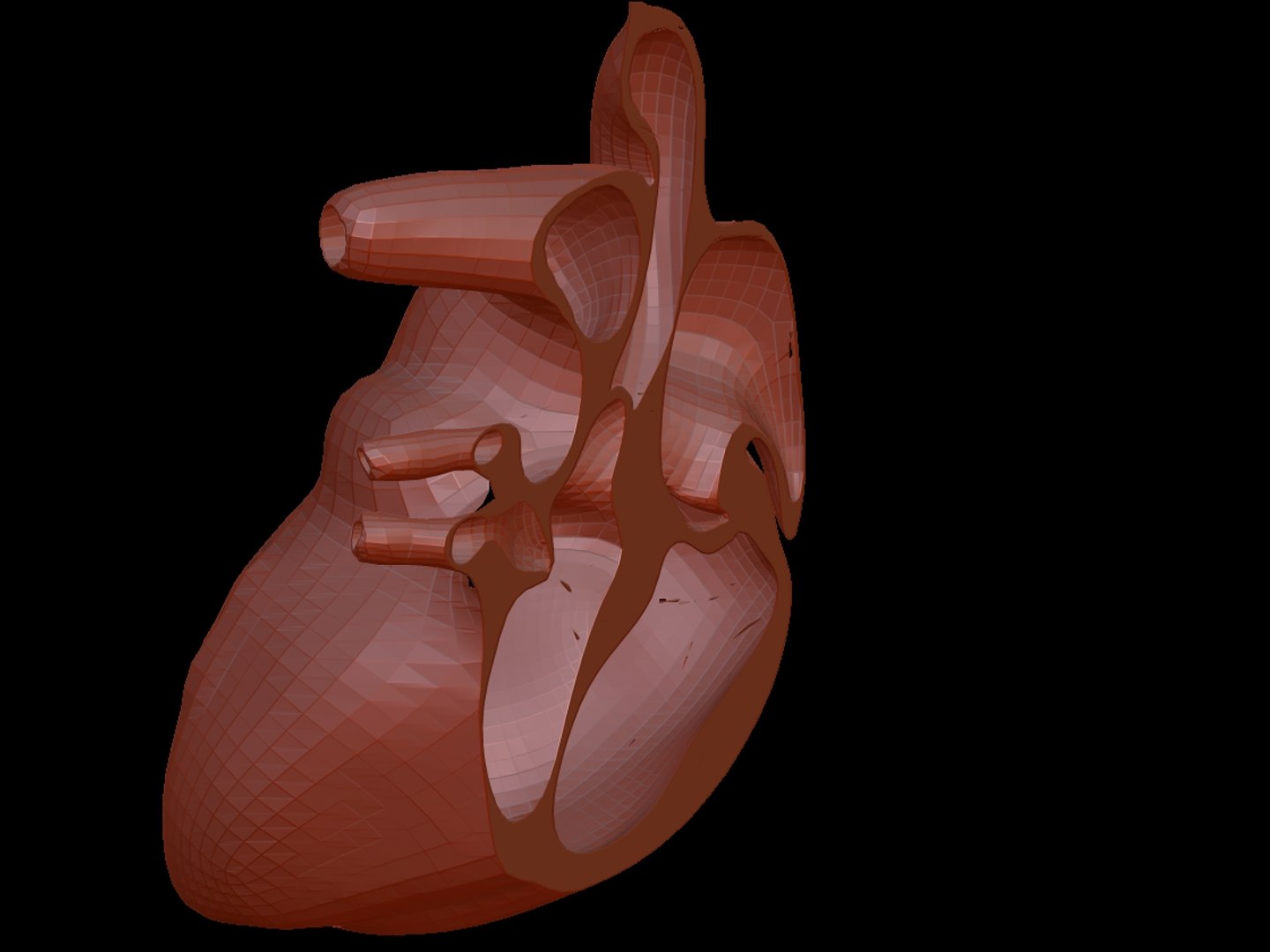 Human Heart Low Poly 3D Model - TurboSquid 2051383