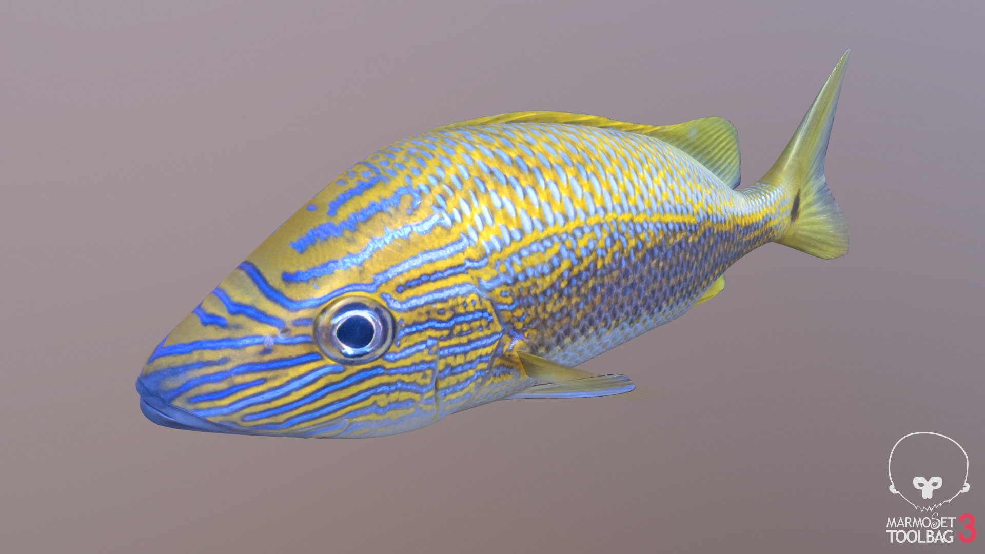 3D Model Caesar Grunt - TurboSquid 1445666