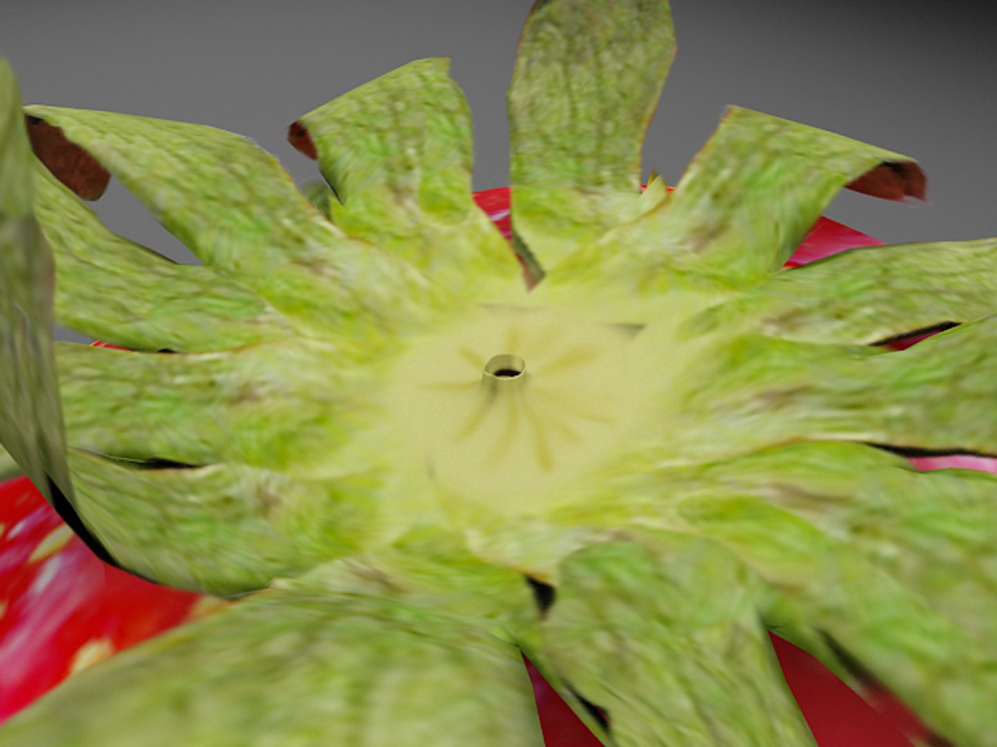 3ds Max Strawberry Fruit Fresh