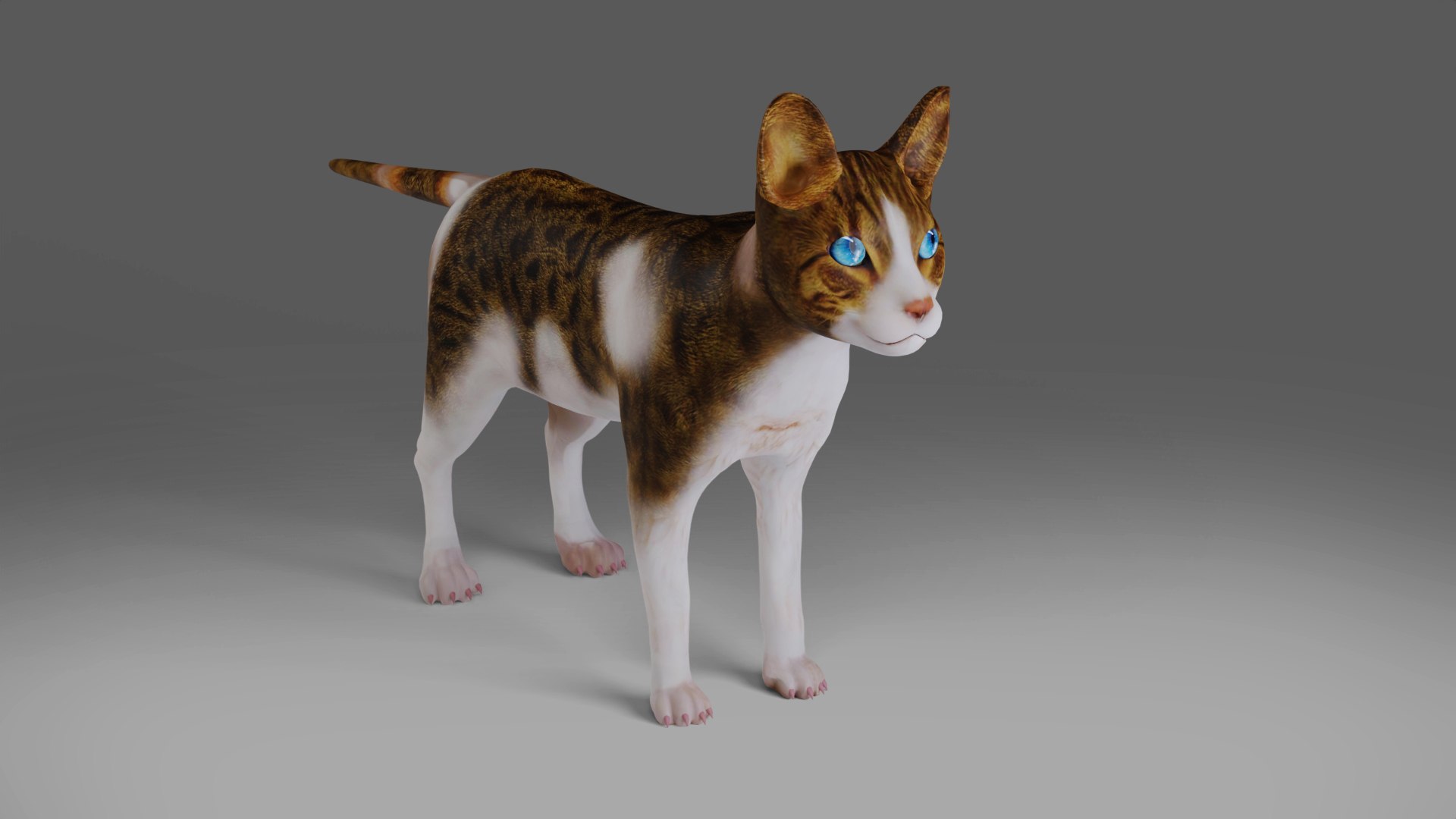 3D Calico Cat Rigged V3 In Blender - TurboSquid 1984958