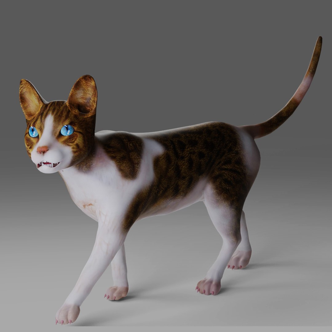 Calico Cat Rigged V3 in Blender3D模型 - TurboSquid 1984958