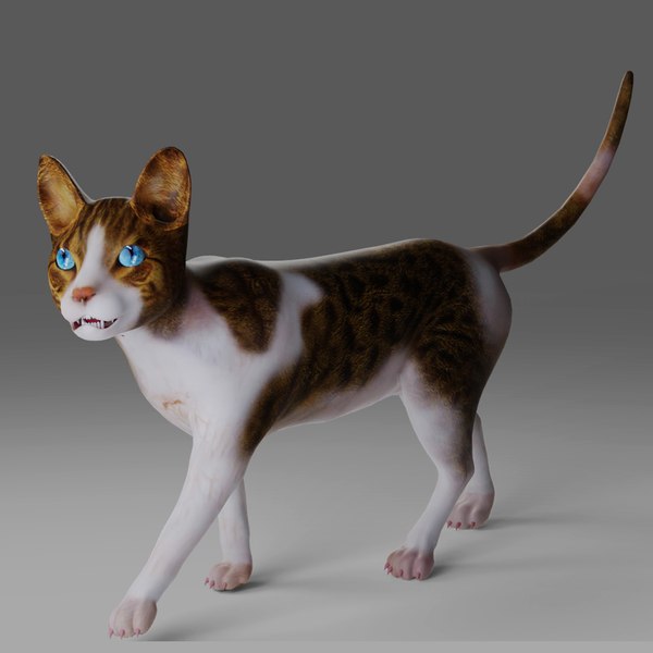3D Calico Cat Rigged V3 in Blender - TurboSquid 1984958