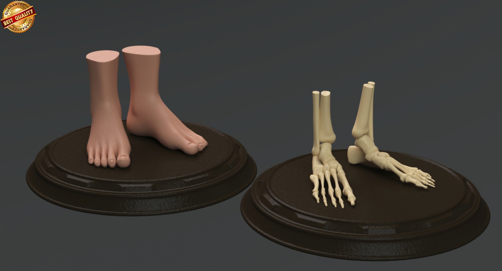 3d Modeled Feet N
