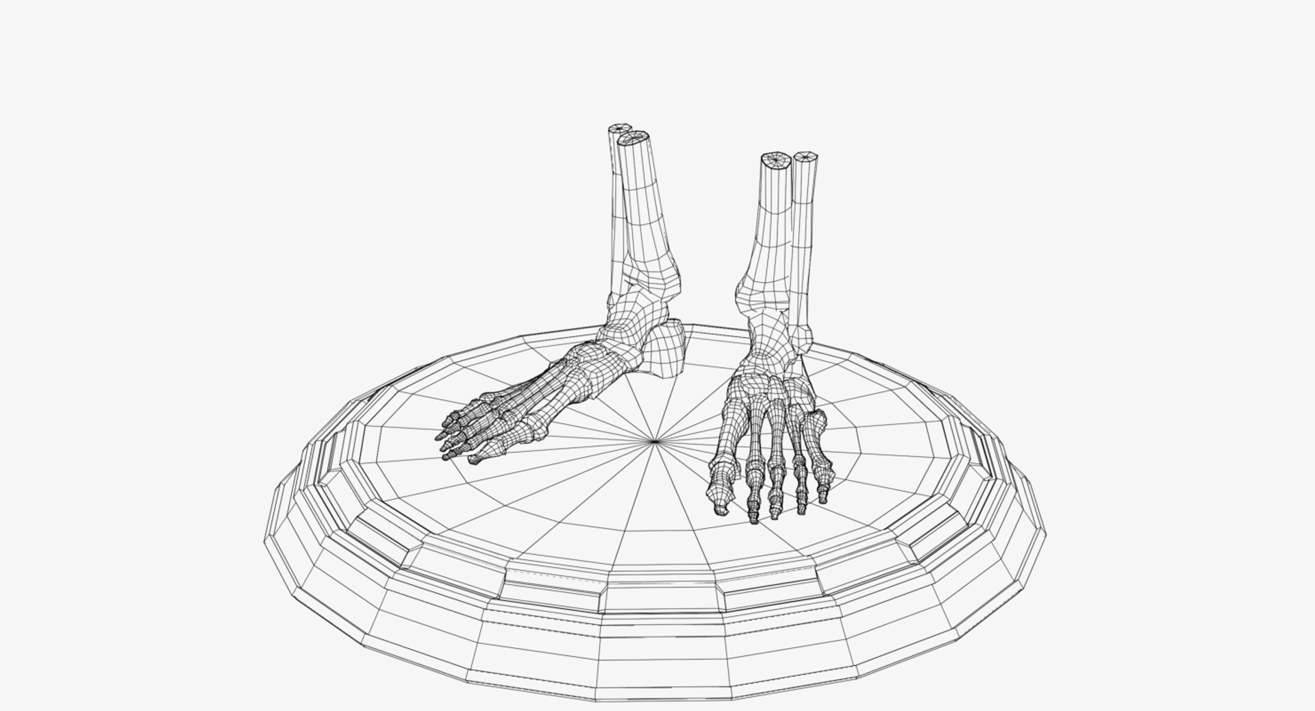 3d Modeled Feet N