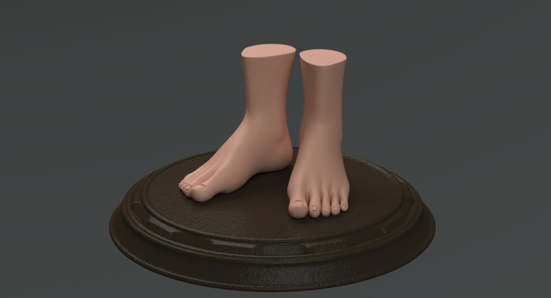 3d Modeled Feet N