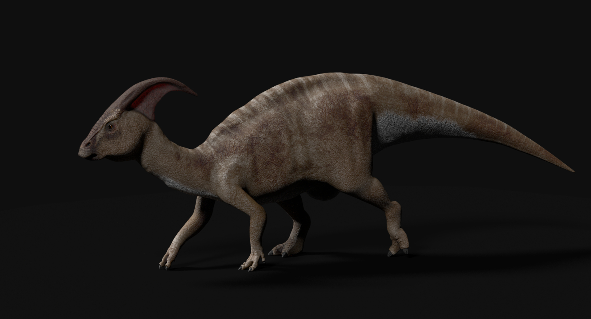 Parasaurolophus Parasaur 3d Blend