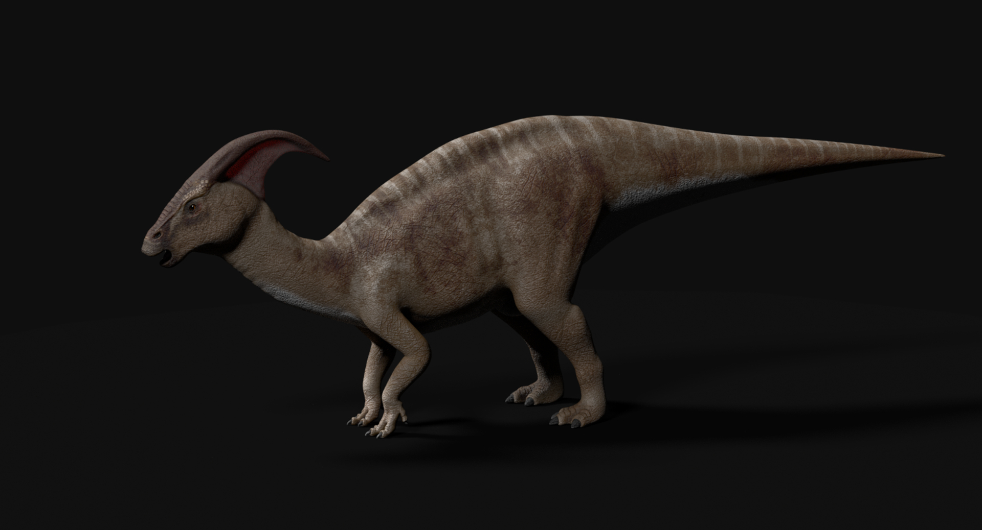 Parasaurolophus Parasaur 3d Blend