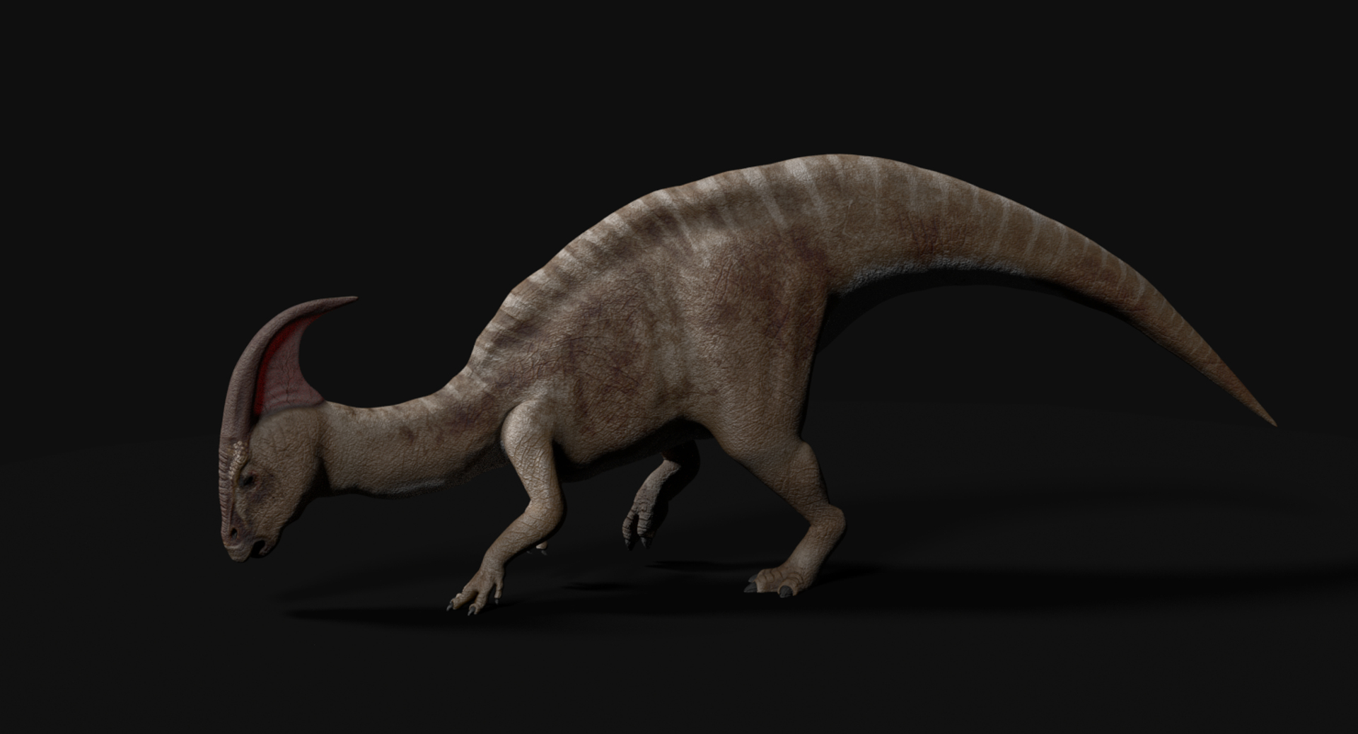Parasaurolophus Parasaur 3d Blend