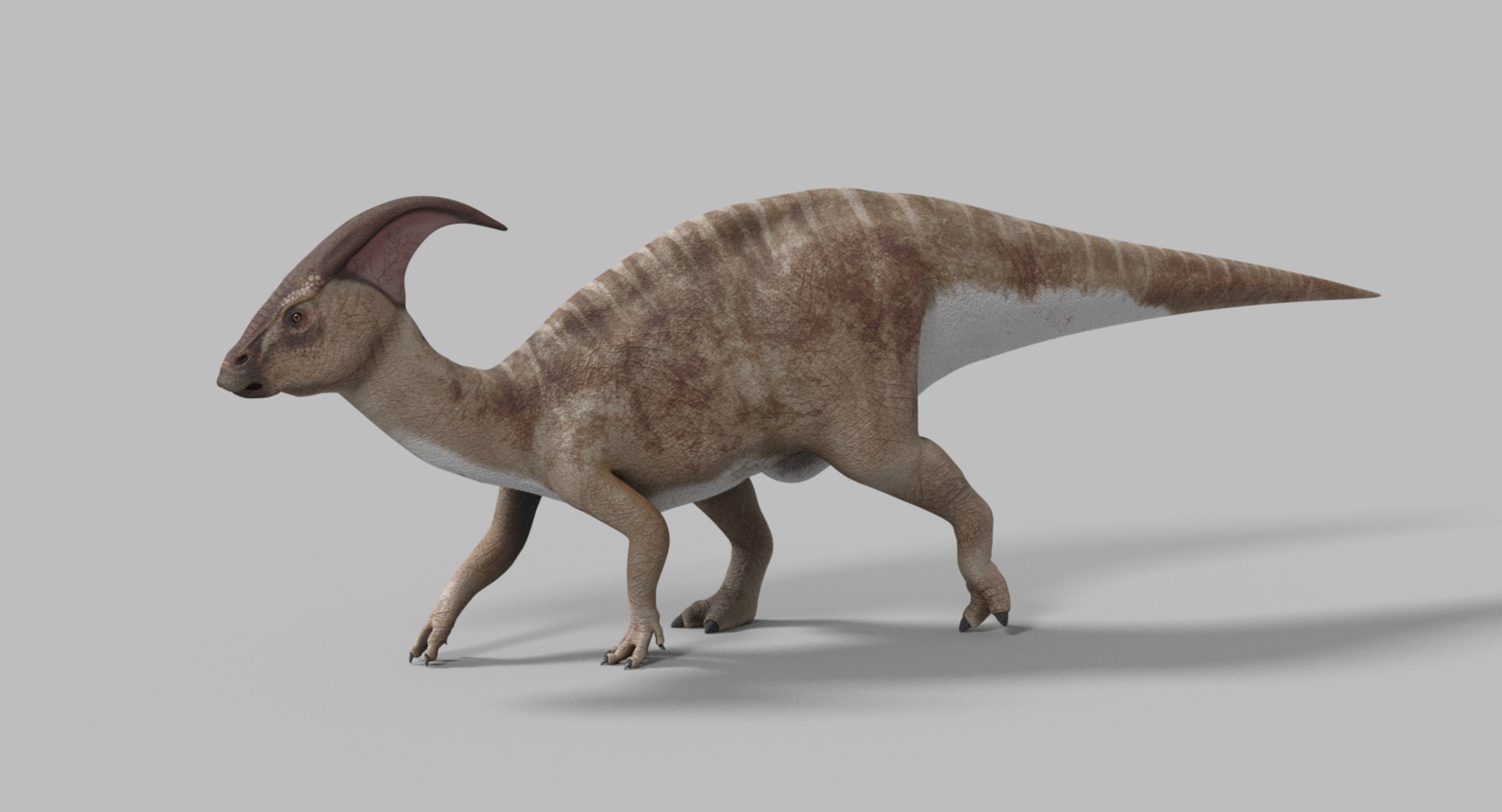 Parasaurolophus Parasaur 3d Blend
