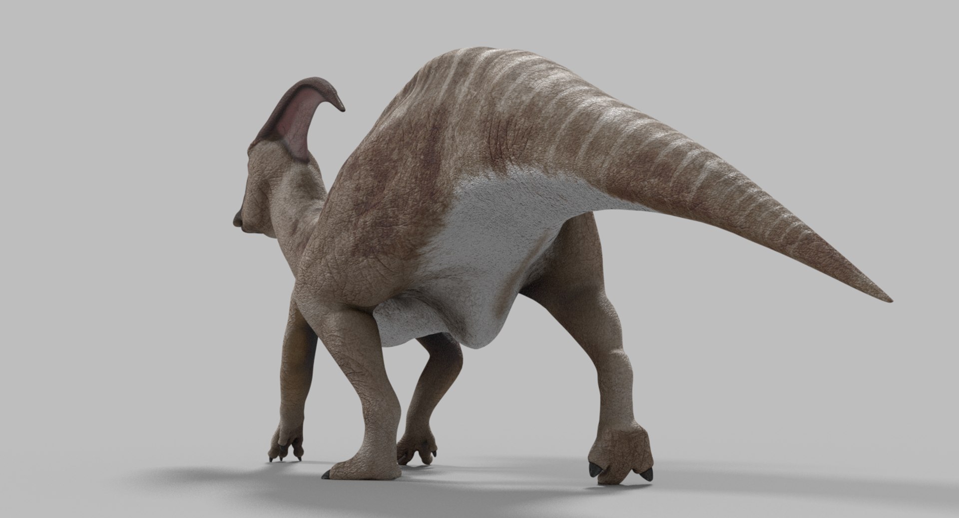 Parasaurolophus Parasaur 3d Blend