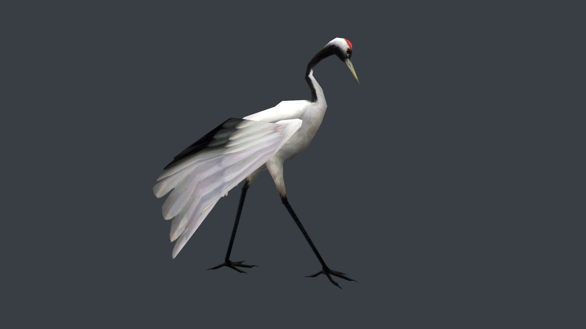 Crane bird 3D - TurboSquid 2175999