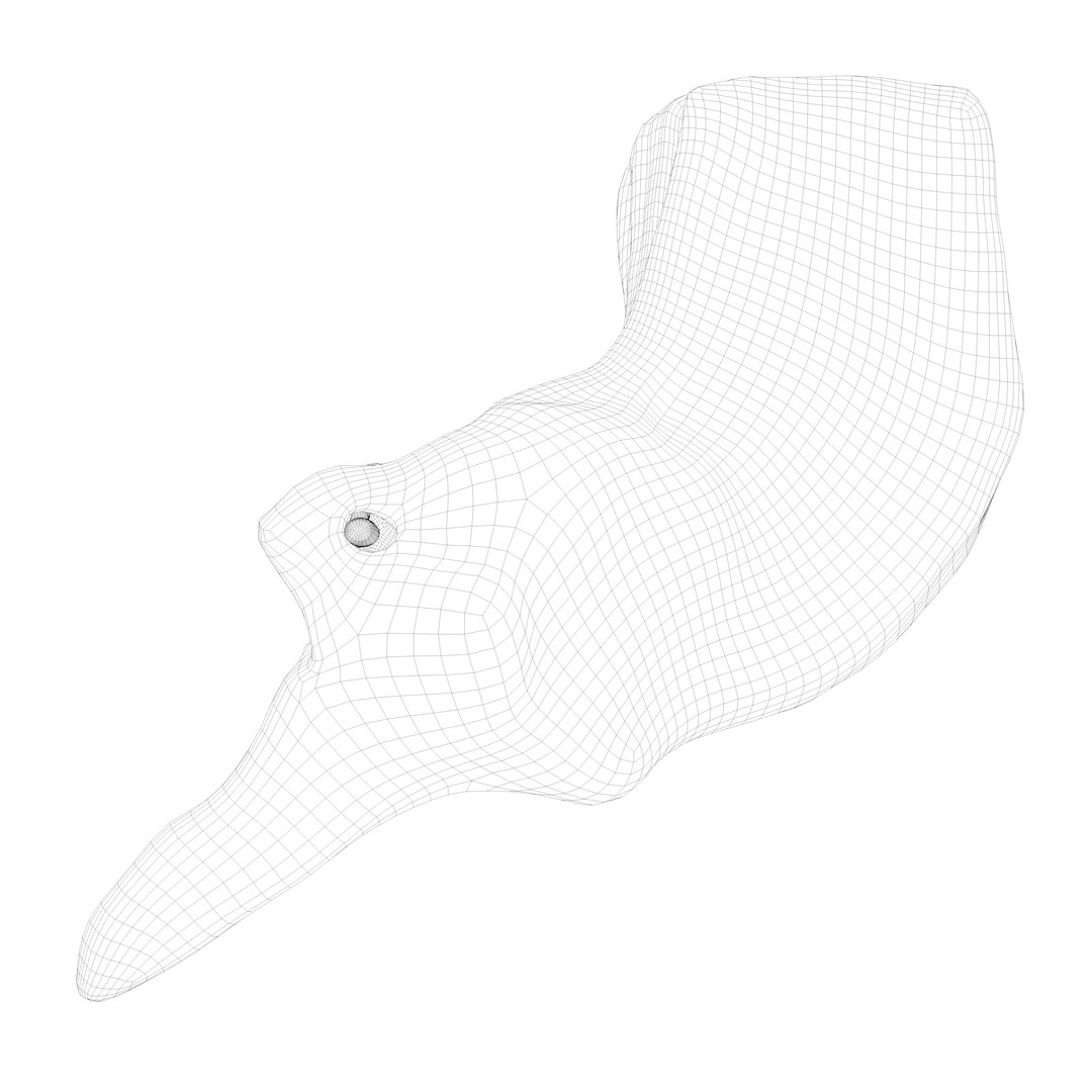 Cross section ear anatomy model - TurboSquid 2055028