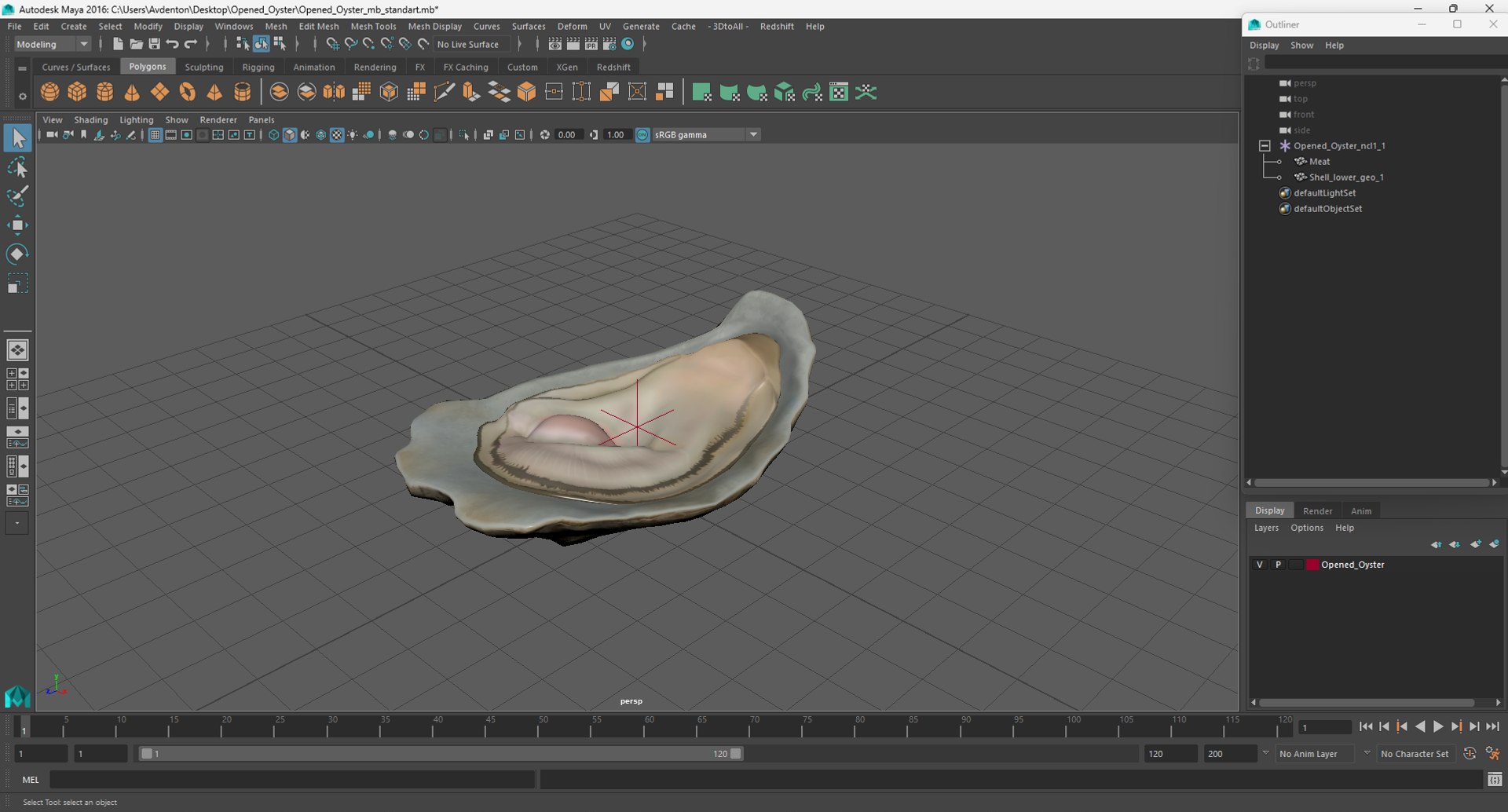 3D Opened Oyster Model - TurboSquid 2268815