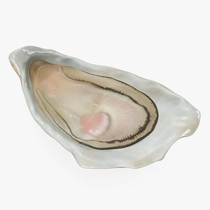 3D Oysters Models | TurboSquid