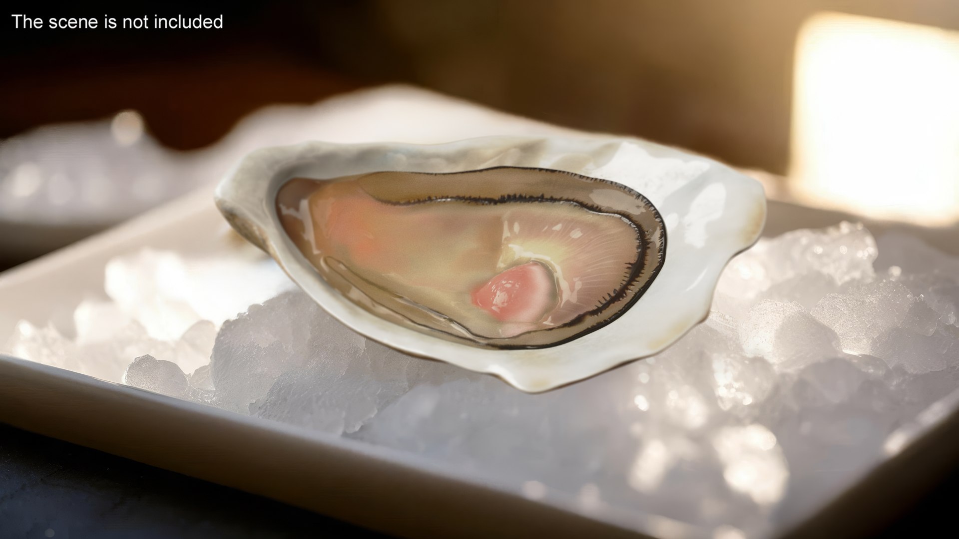3D Opened Oyster Model - TurboSquid 2268815