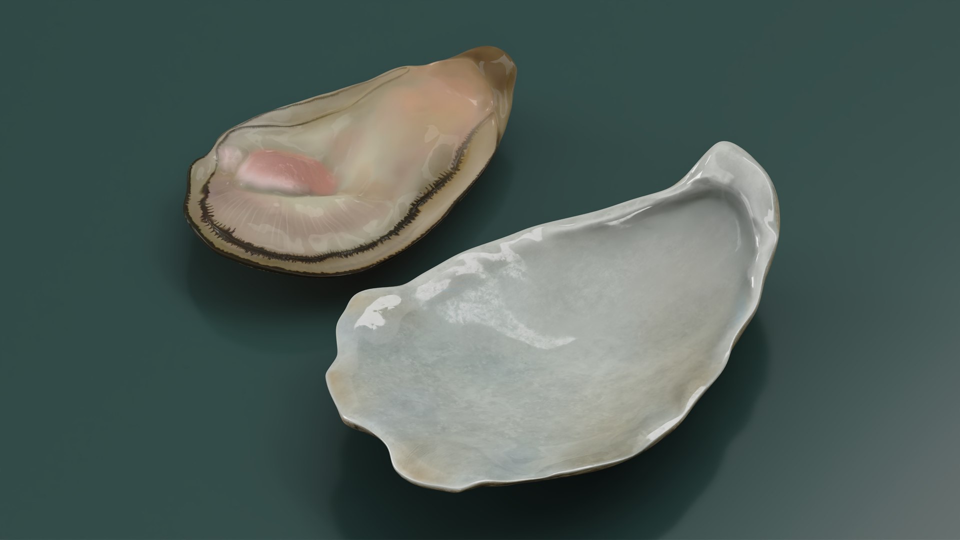 3D Opened Oyster Model - TurboSquid 2268815