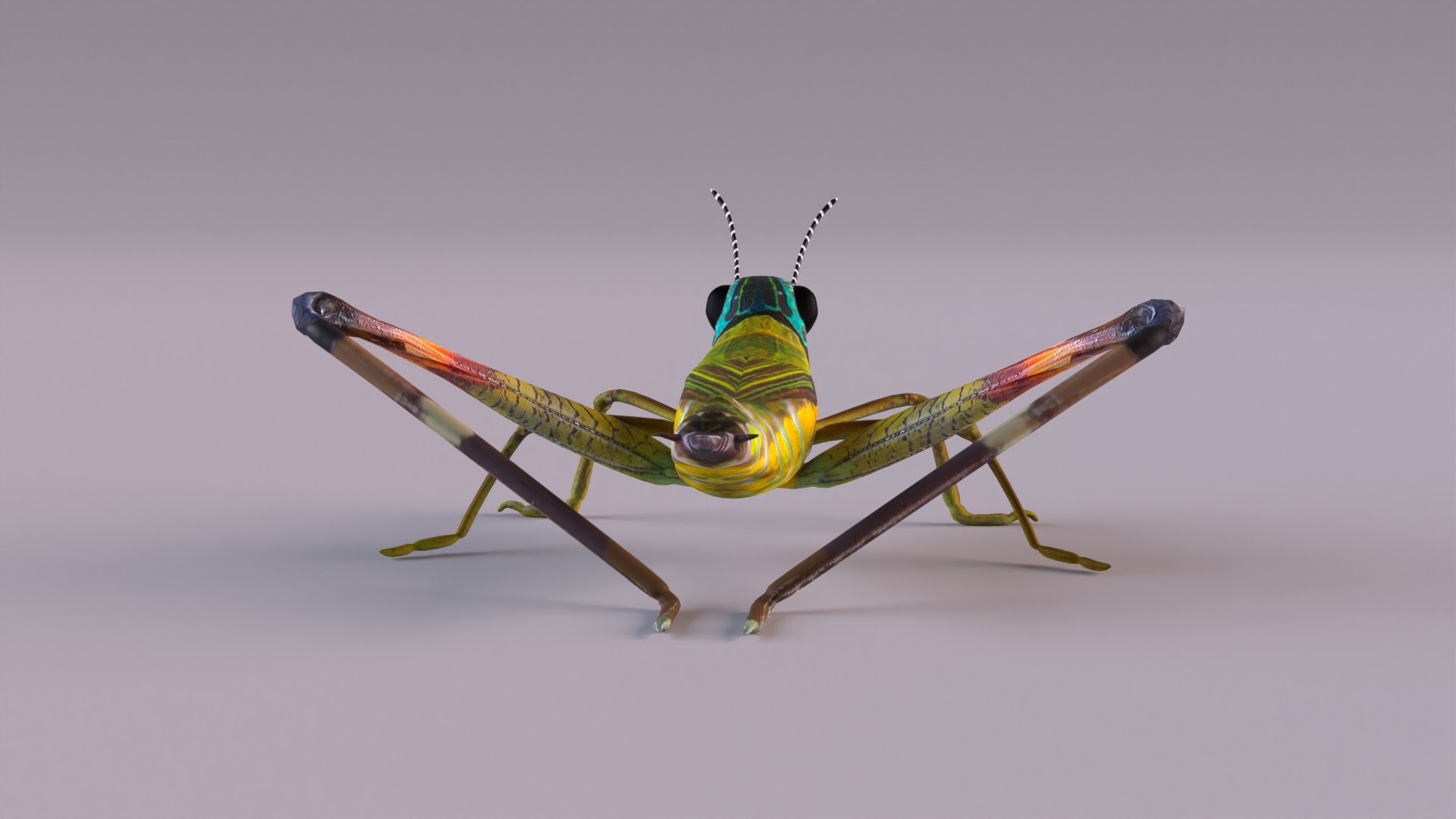 3d Model Cricket