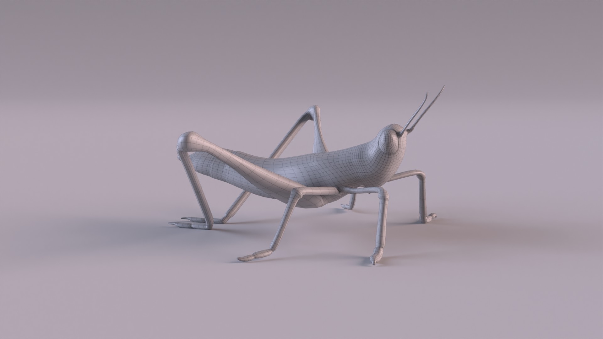 3d Model Cricket