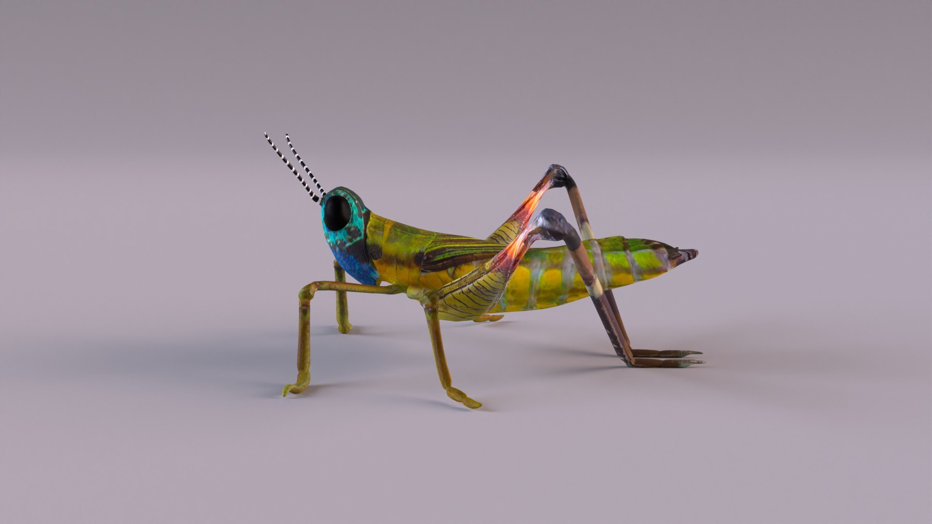 3d Model Cricket
