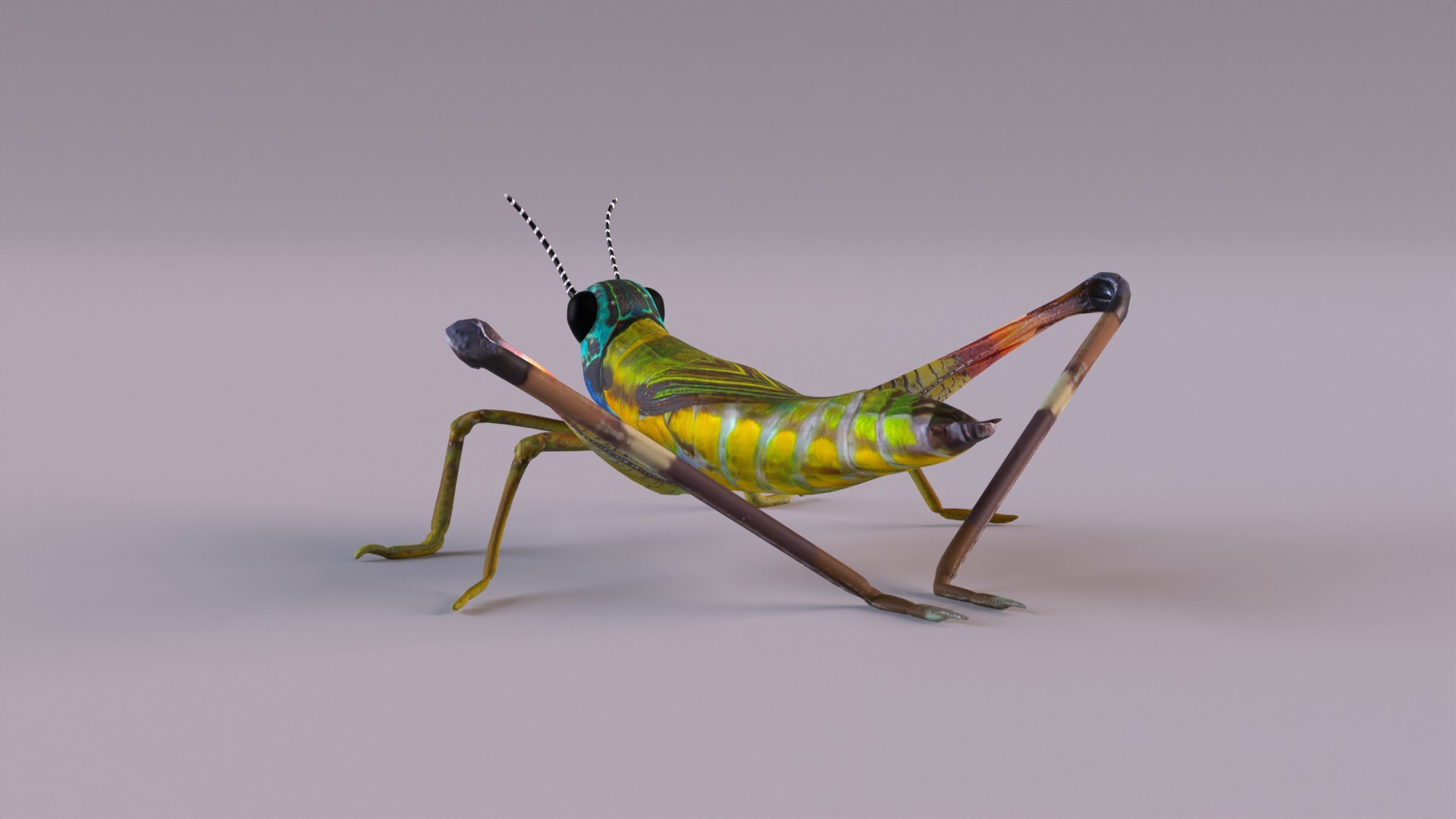 3d Model Cricket