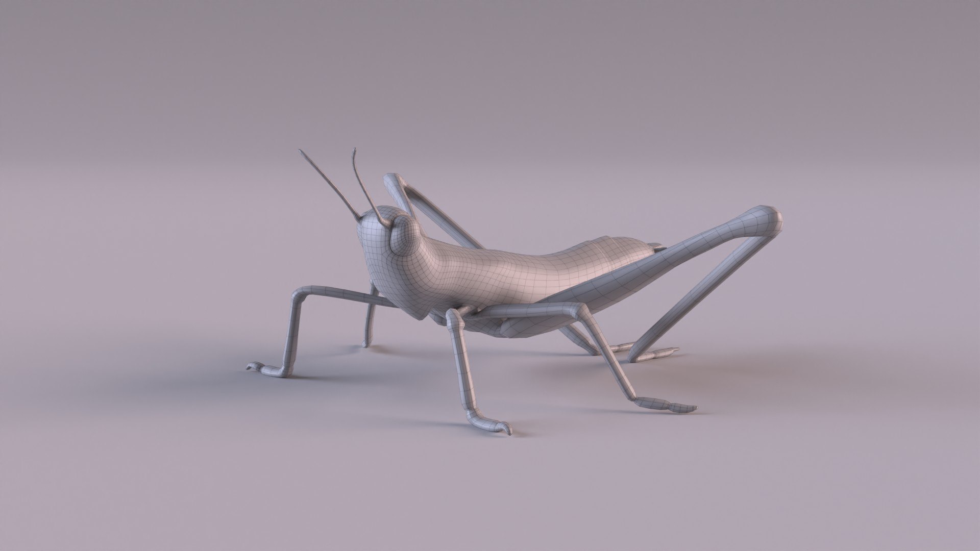 3d Model Cricket