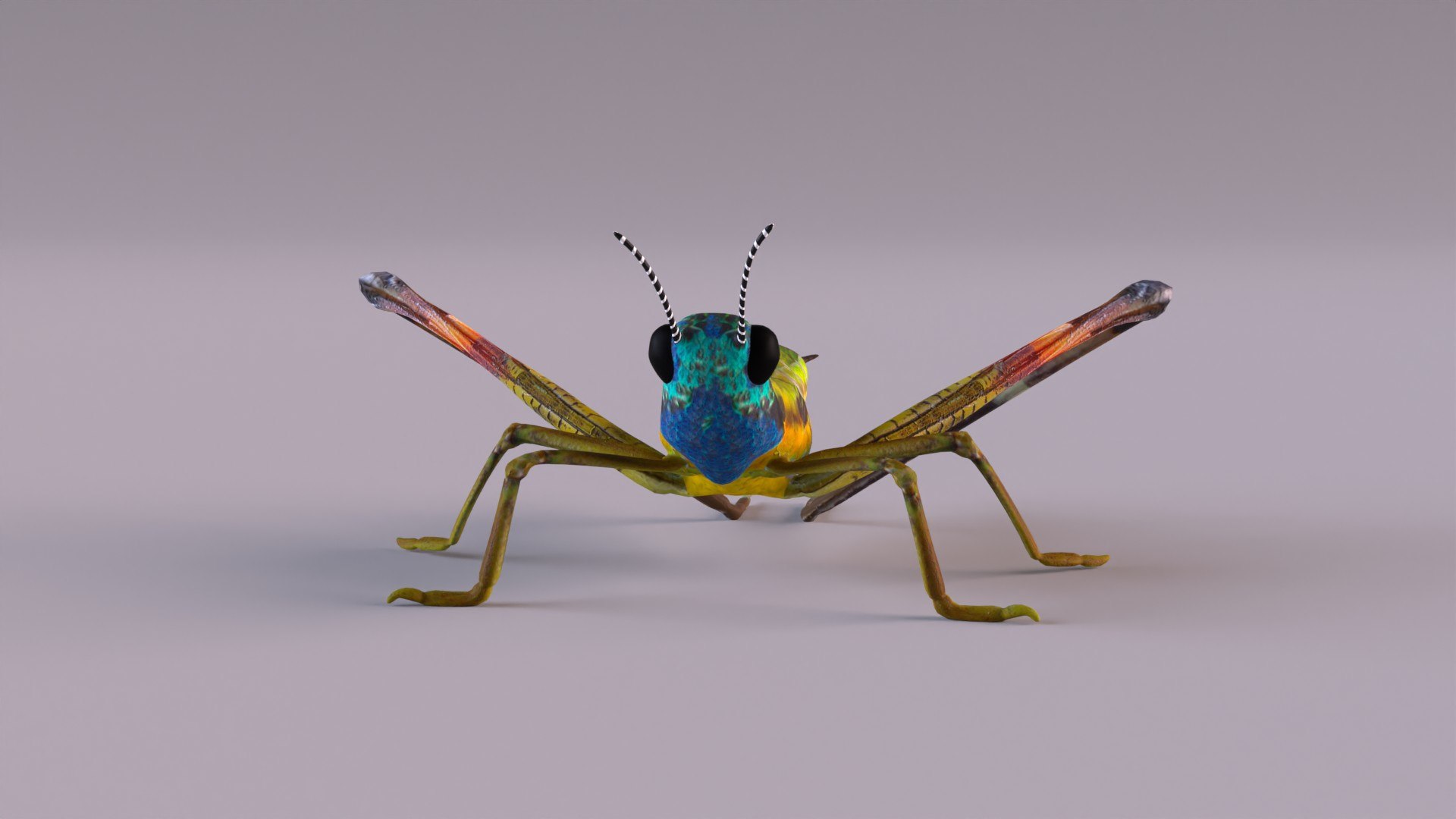 3d Model Cricket