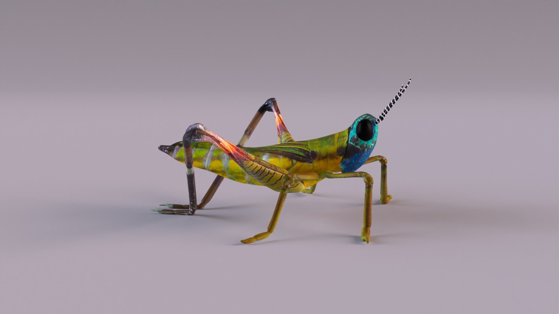 3d Model Cricket