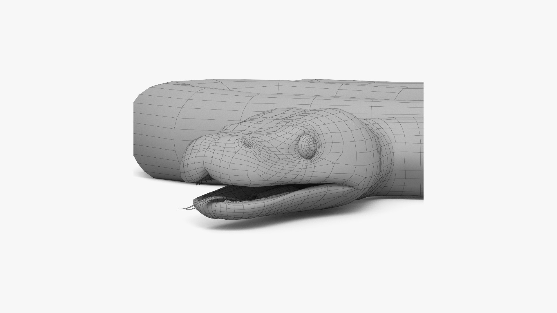 Common Python 3D - TurboSquid 2175780