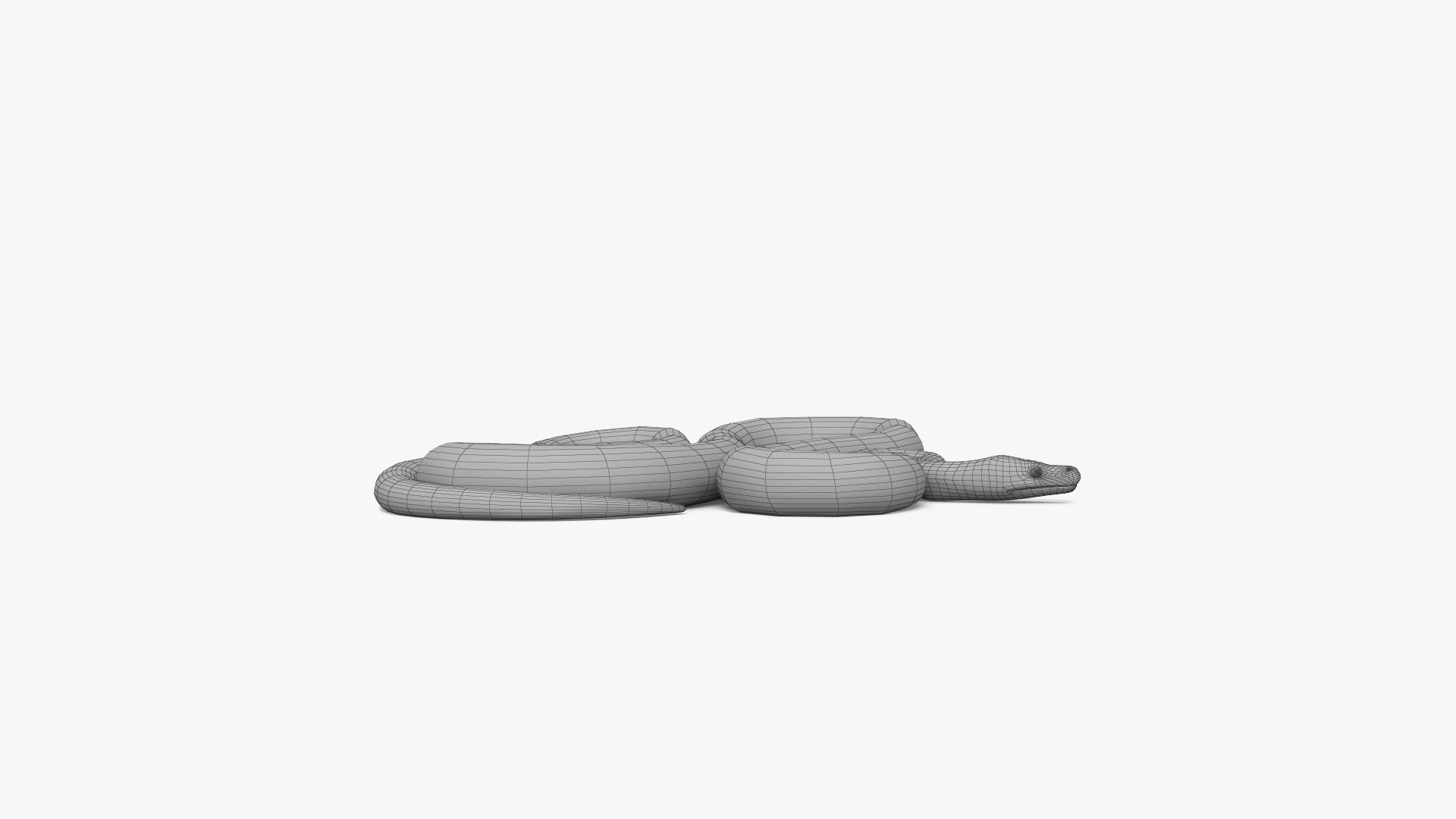 Common Python 3d Turbosquid 2175780