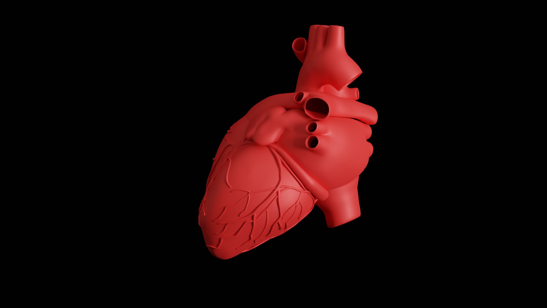 3D Model Heart - TurboSquid 2168371