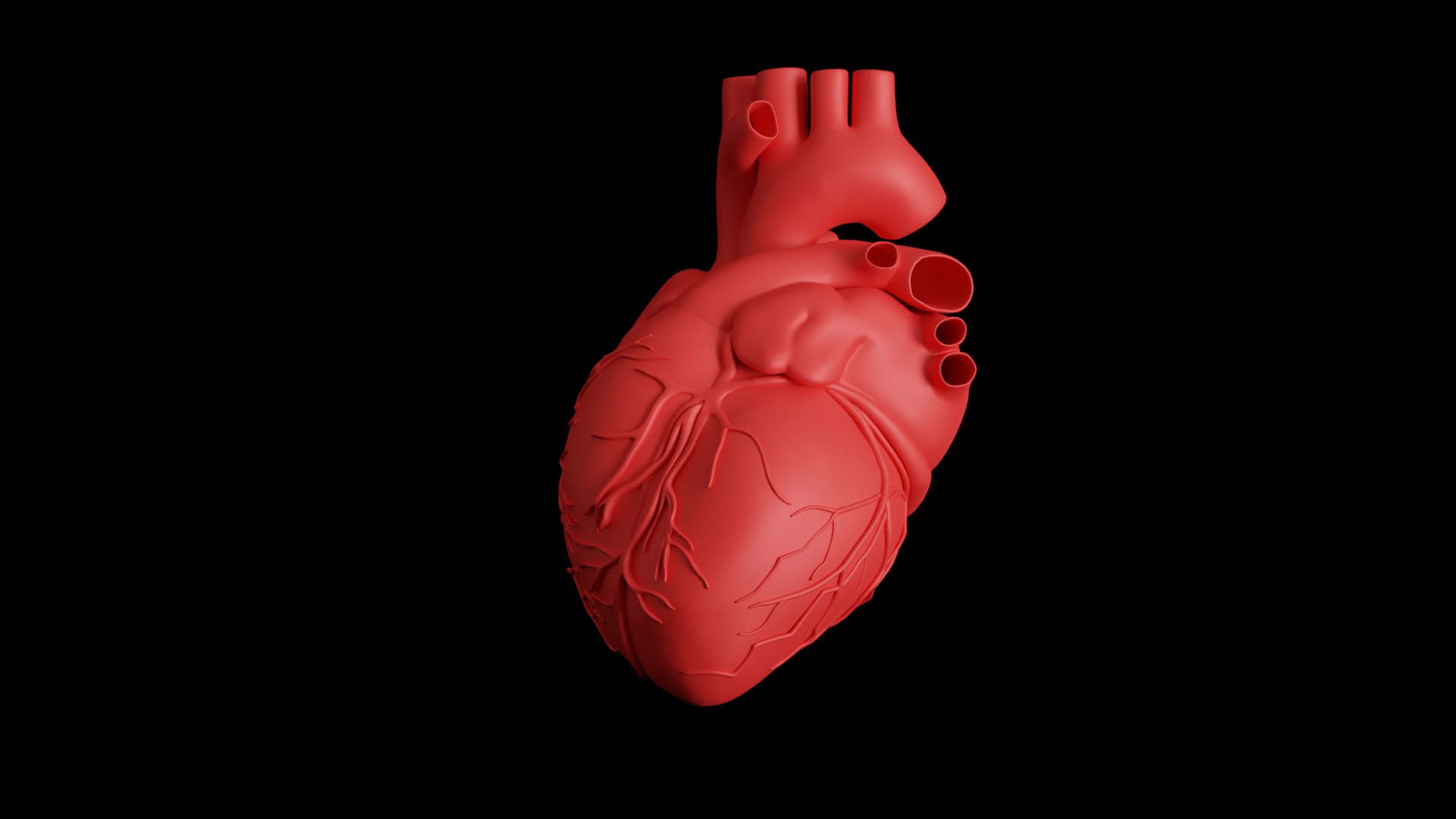 3D Model Heart - TurboSquid 2168371