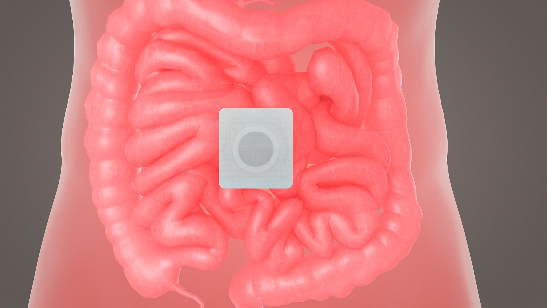 Tomach Patch Magnetic Patch Animation Dissection Medical 3D Model ...