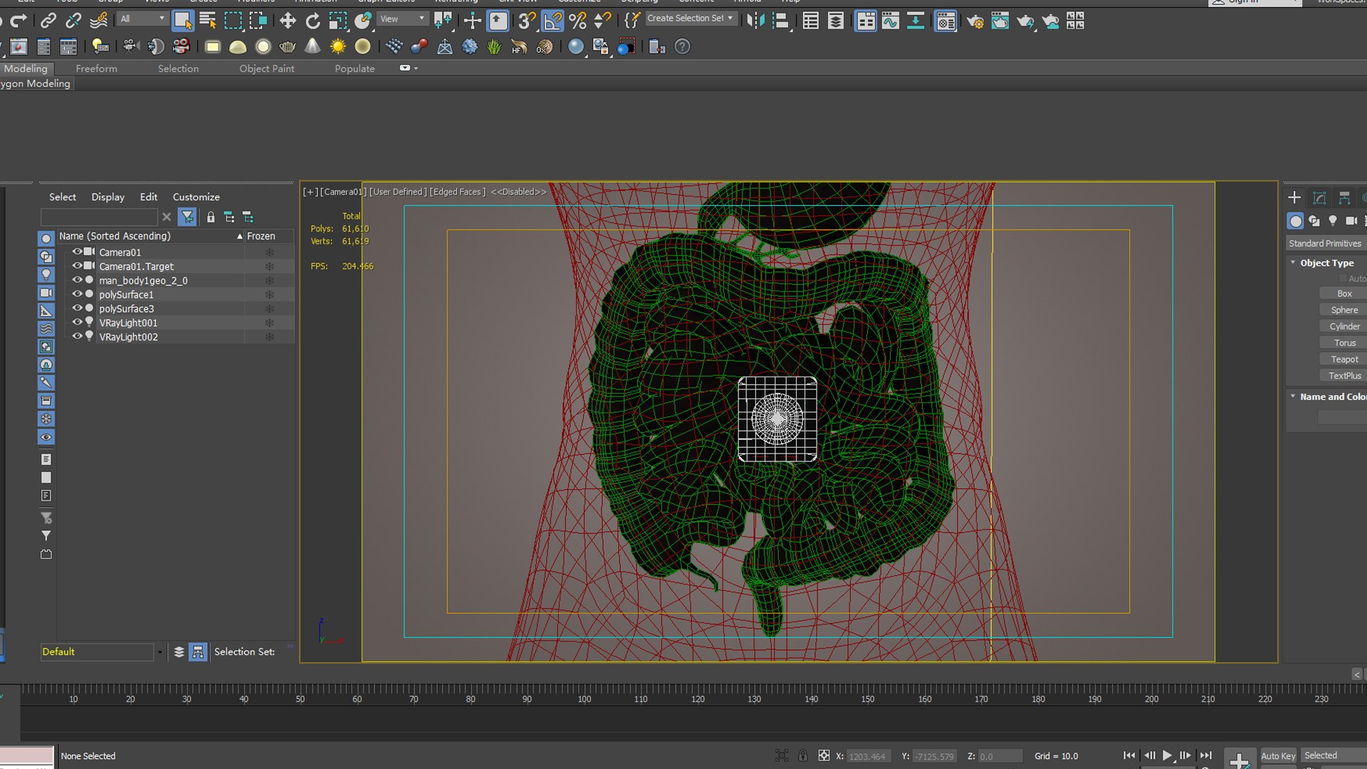 Tomach Patch Magnetic Patch Animation Dissection Medical 3D Model ...