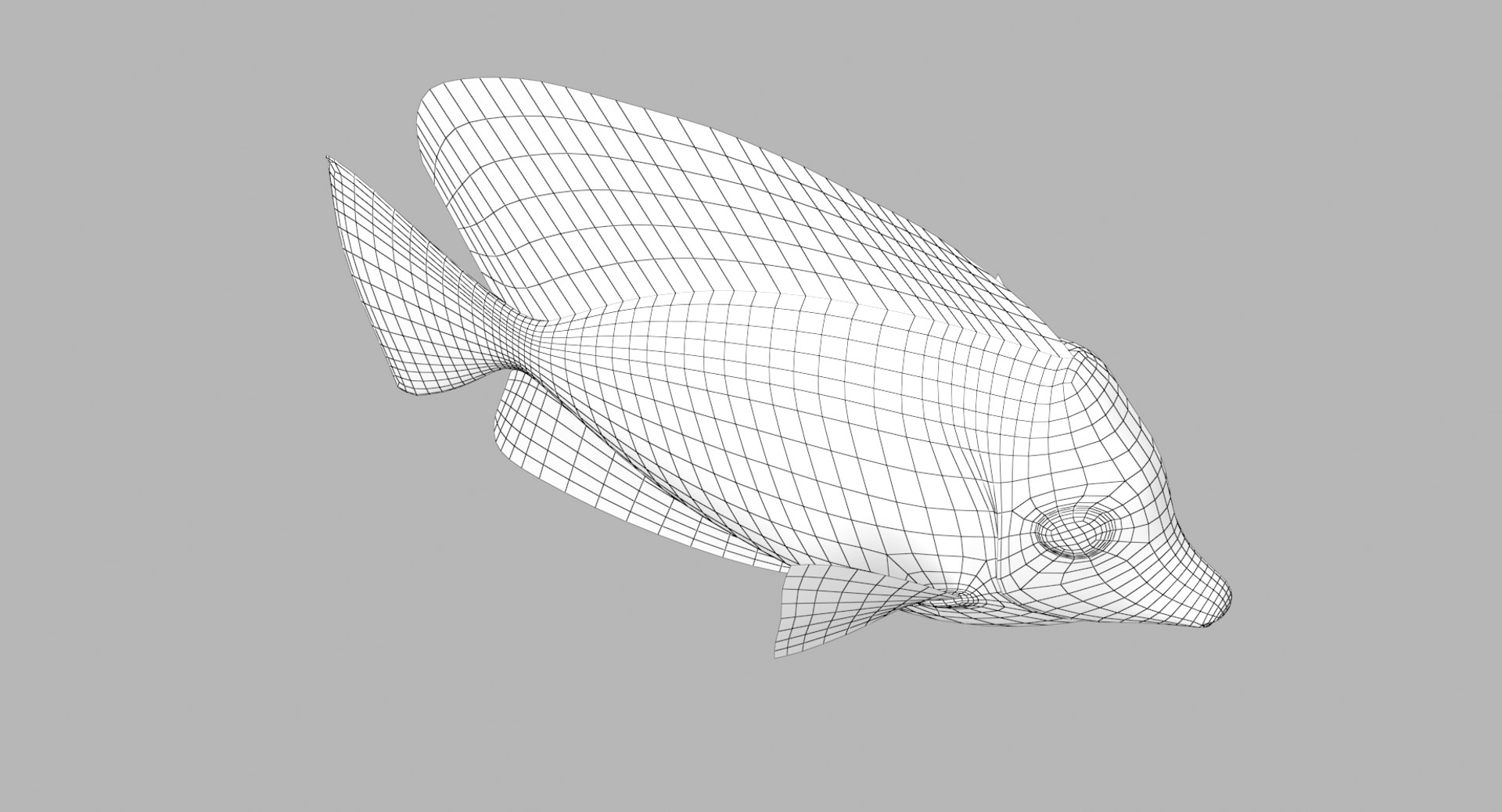 Sailfin Tang Model - TurboSquid 1424023