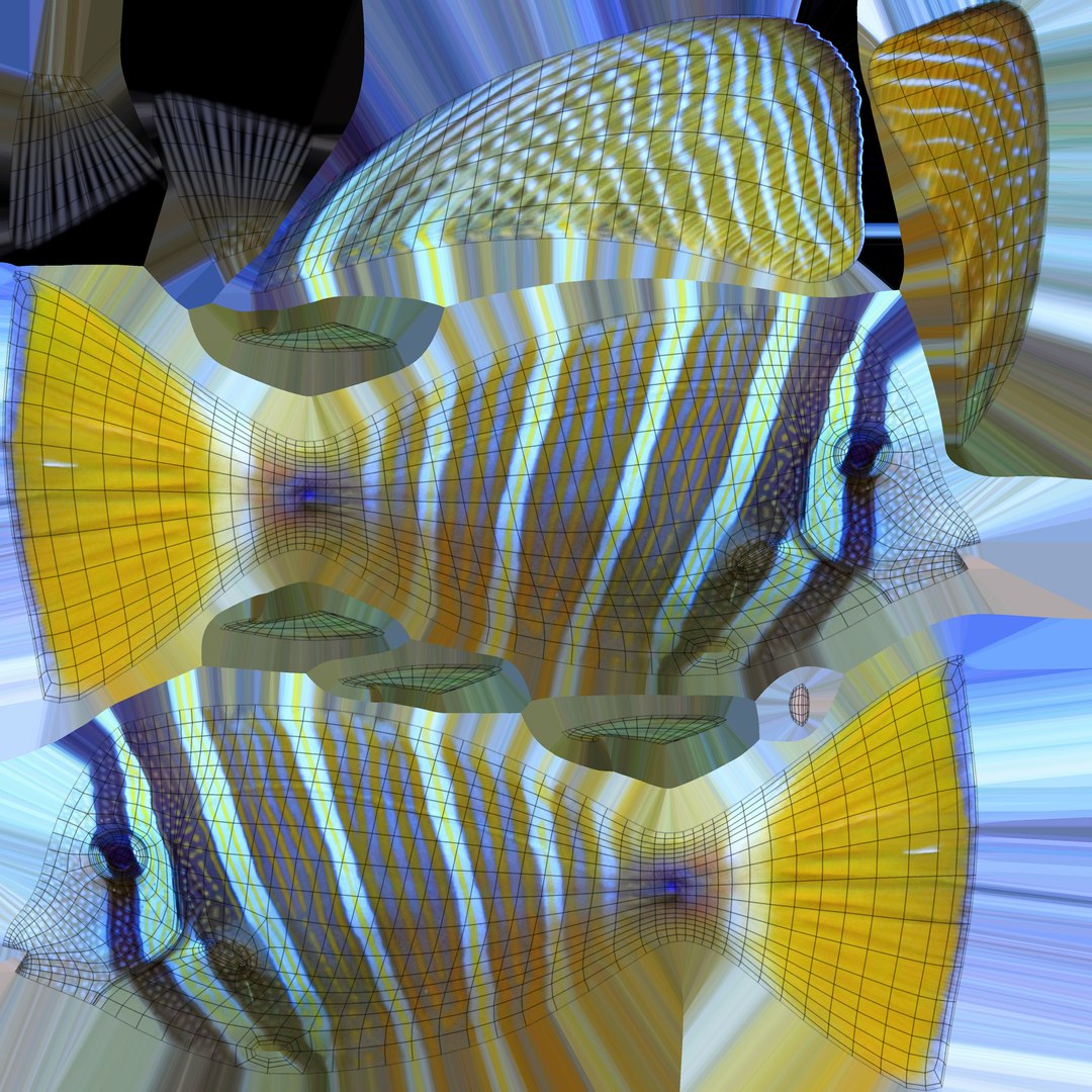 Sailfin Tang Model - TurboSquid 1424023