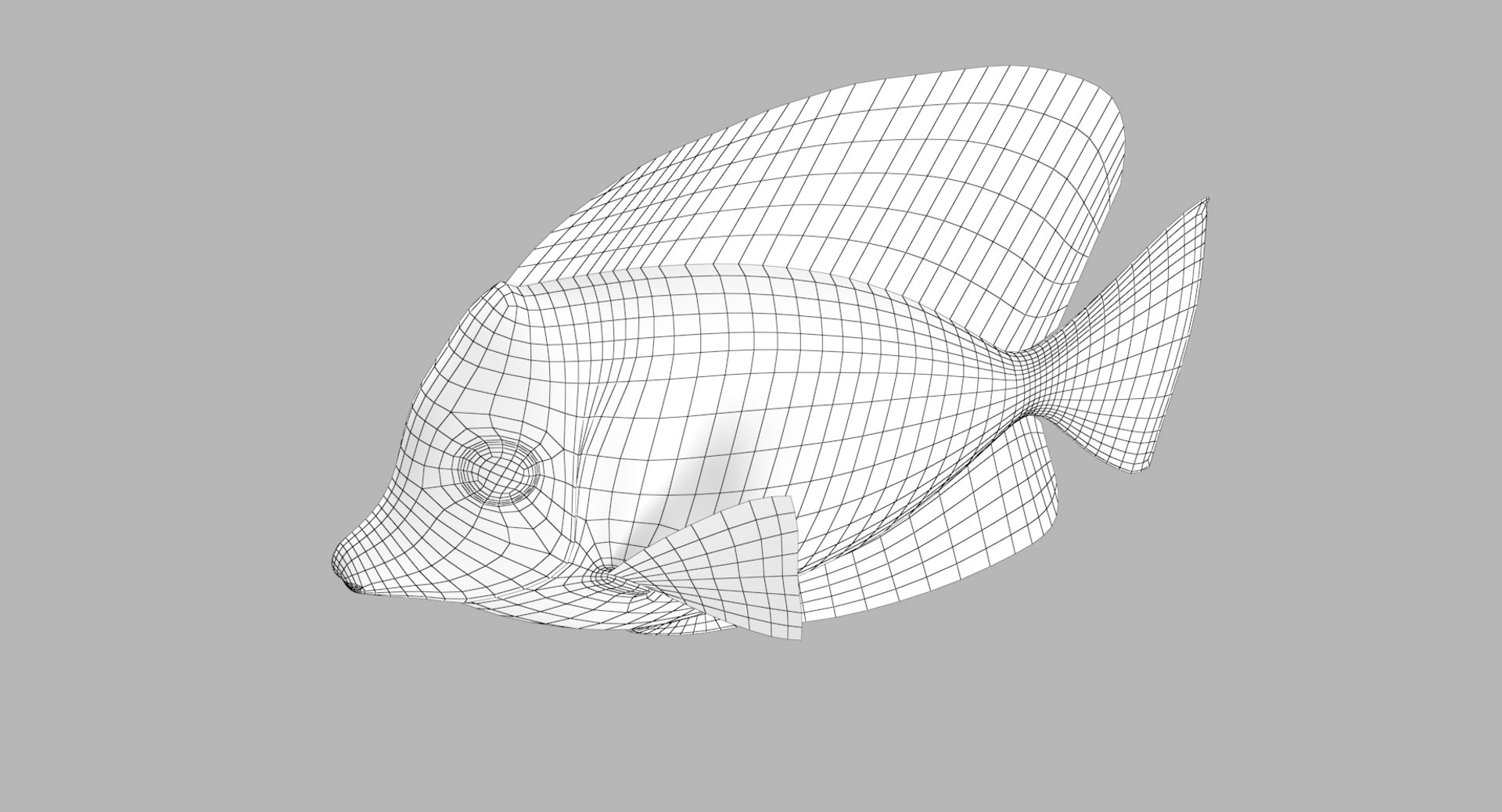 Sailfin Tang Model - TurboSquid 1424023