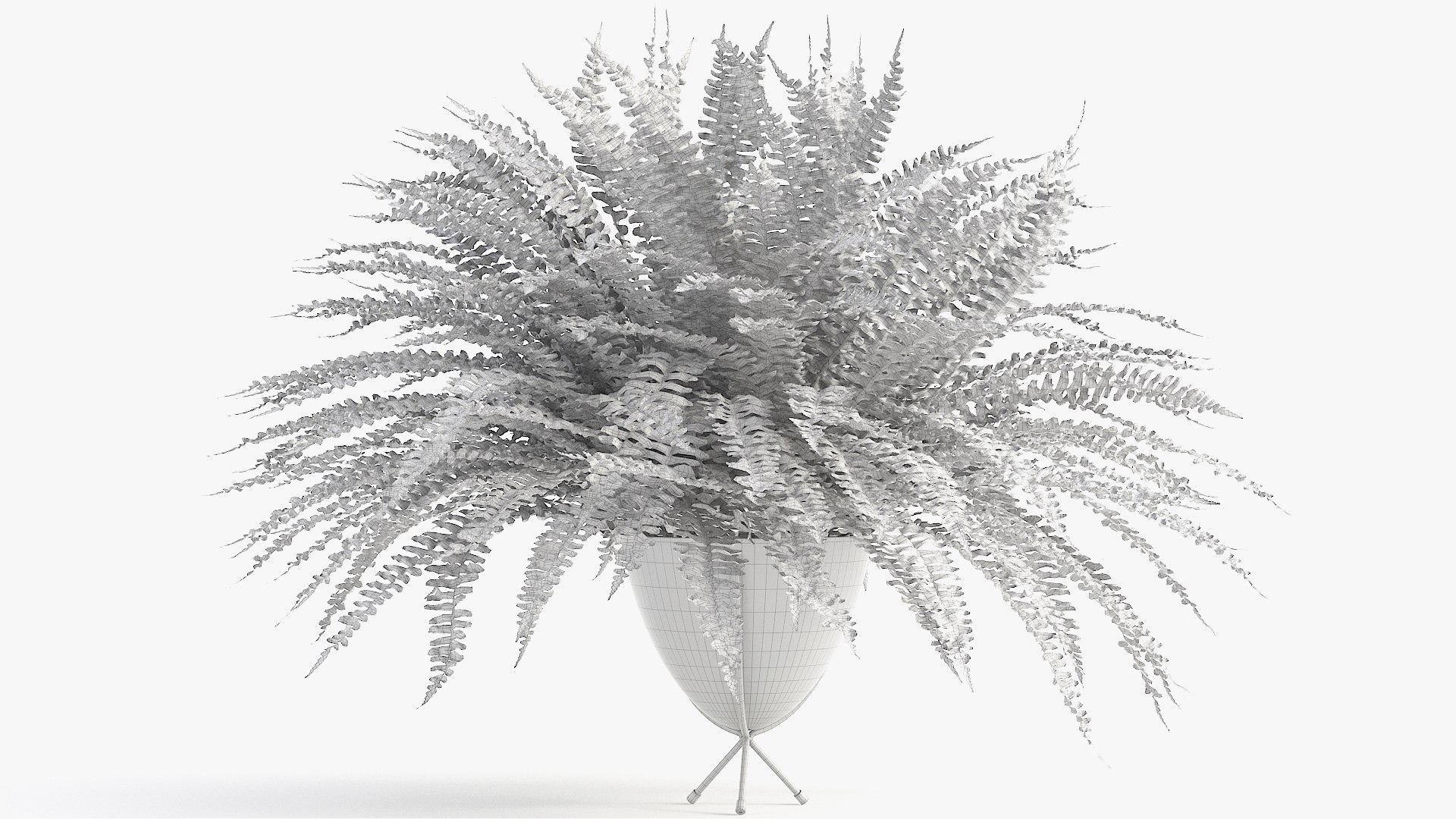 3D Model Sword Fern - TurboSquid 1517821