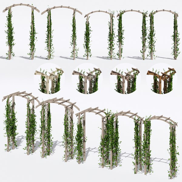 Primrose 3D Models for Download | TurboSquid