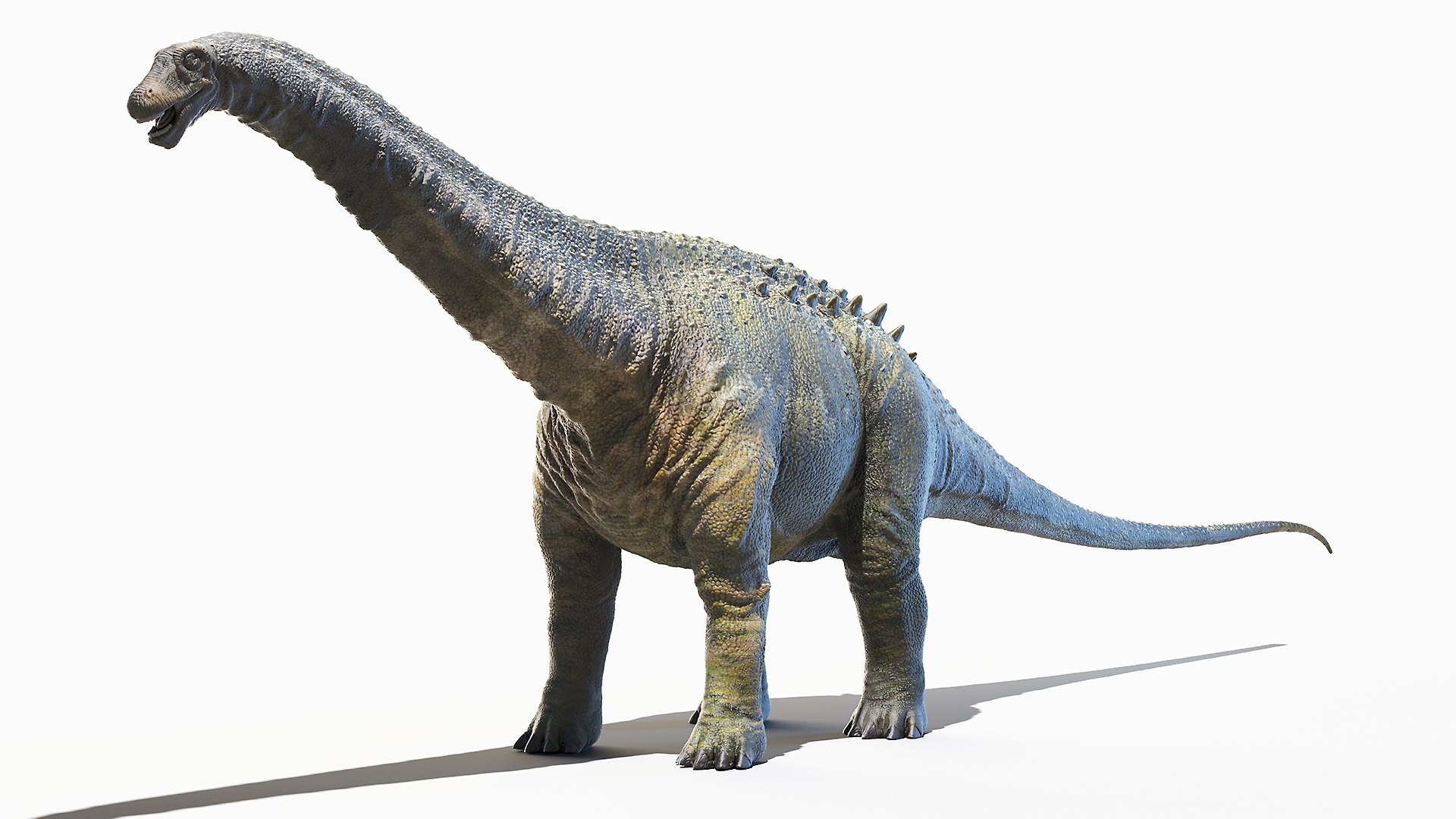 Apatozaur Model 3D - TurboSquid 1700077