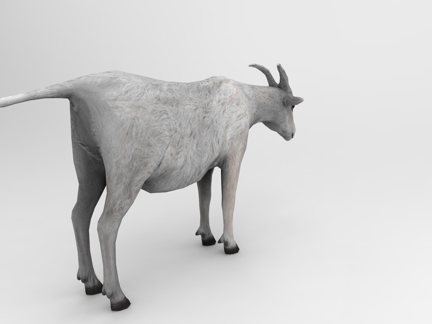 3d goat model