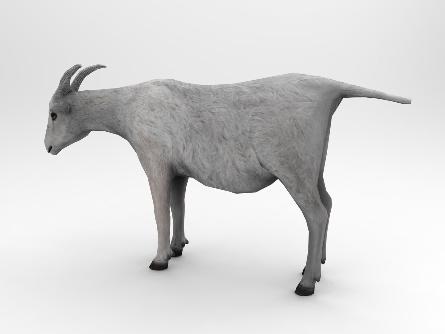 3d goat model
