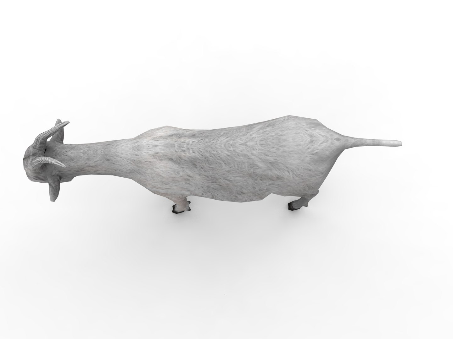 3d goat model