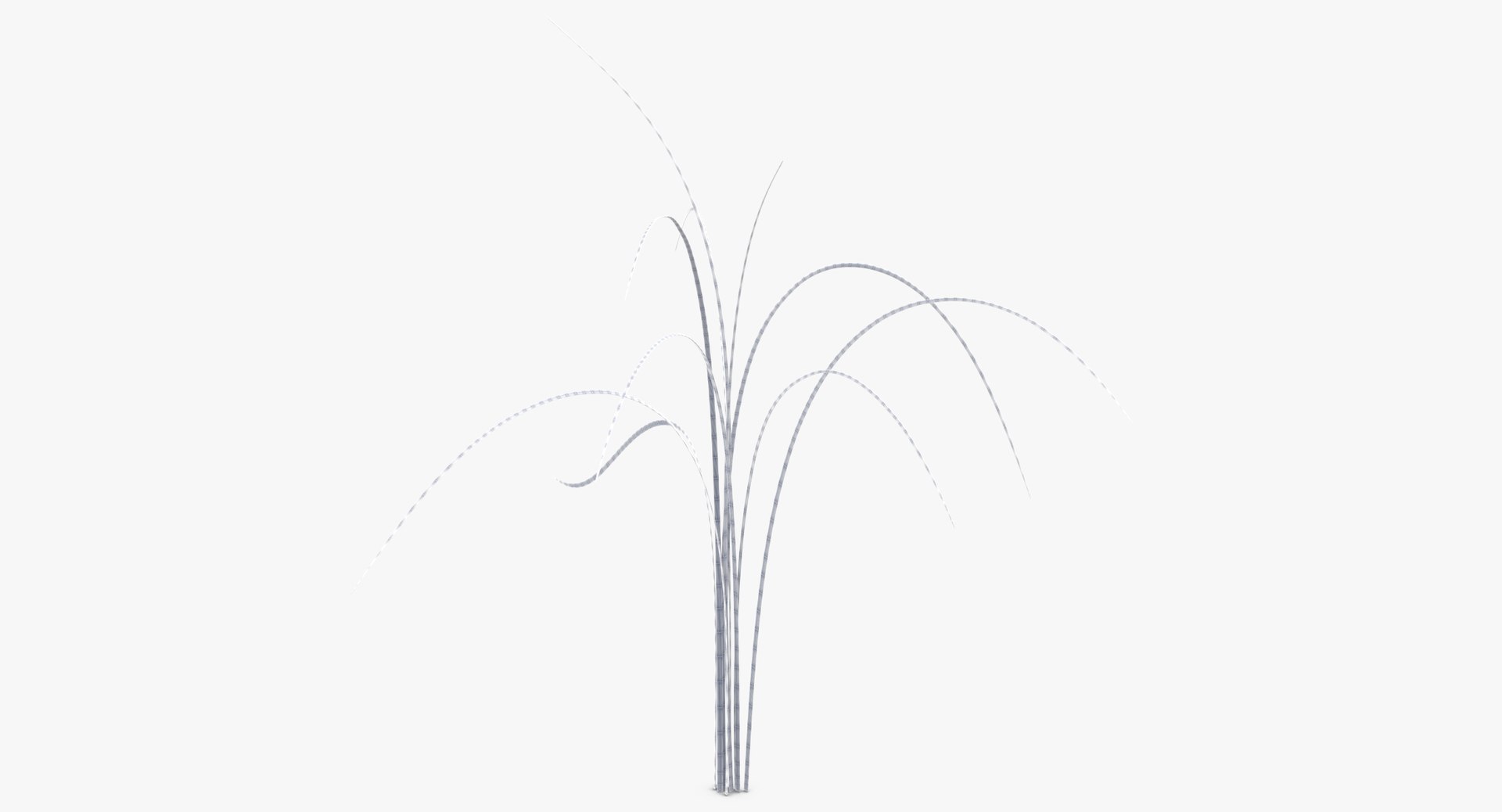 3D Xerophyllum Tenax - TurboSquid 1377755