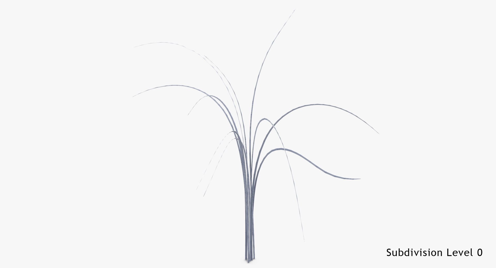 3D Xerophyllum Tenax - TurboSquid 1377755