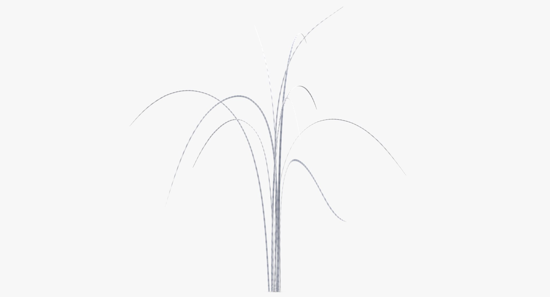 3D Xerophyllum Tenax - TurboSquid 1377755