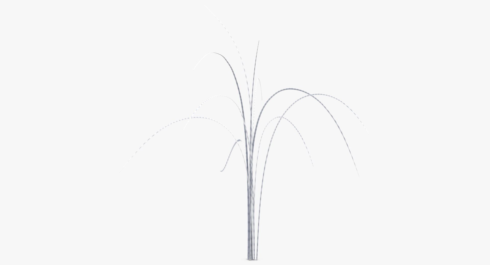 3D Xerophyllum Tenax - TurboSquid 1377755