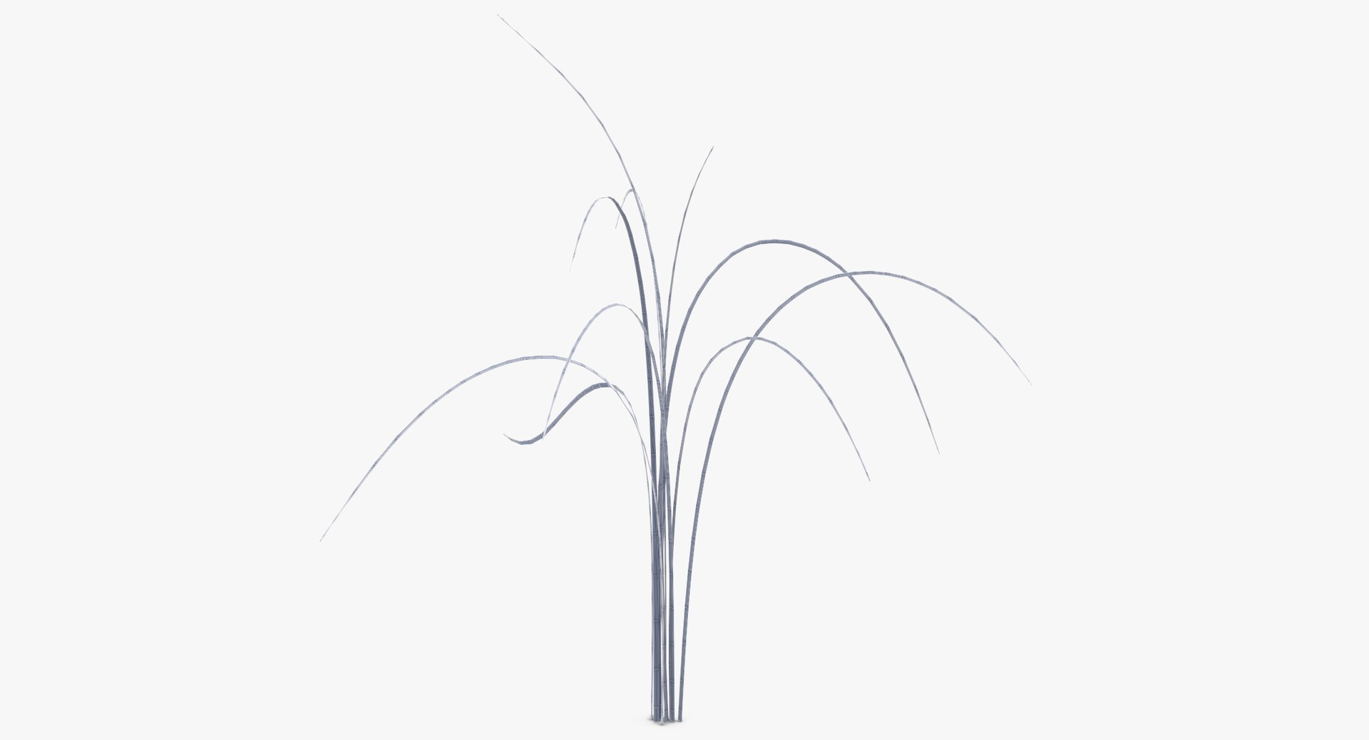 3D Xerophyllum Tenax - TurboSquid 1377755