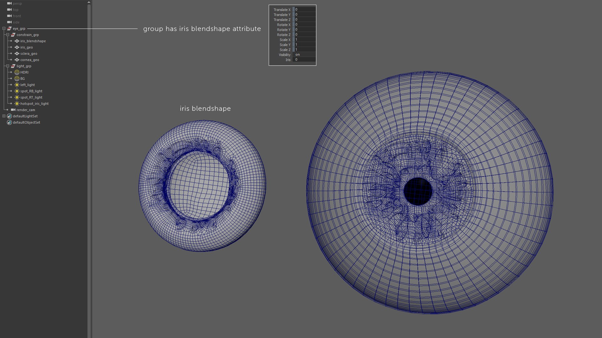 3D Human Eye Rigged Eyeball Model - TurboSquid 1657779