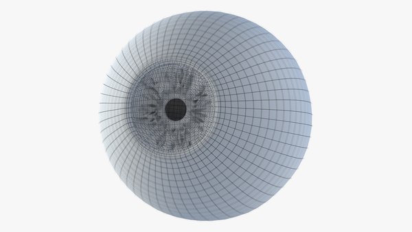 3D human eye rigged eyeball model - TurboSquid 1657779